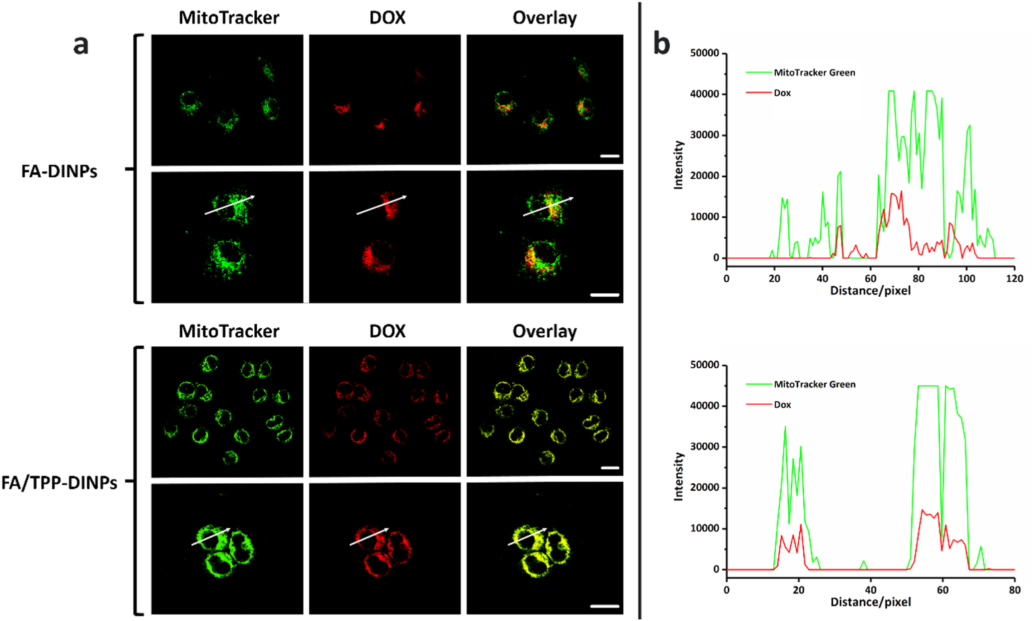 A novel near-infrared triggered dual-targeted nanoplatform for ...