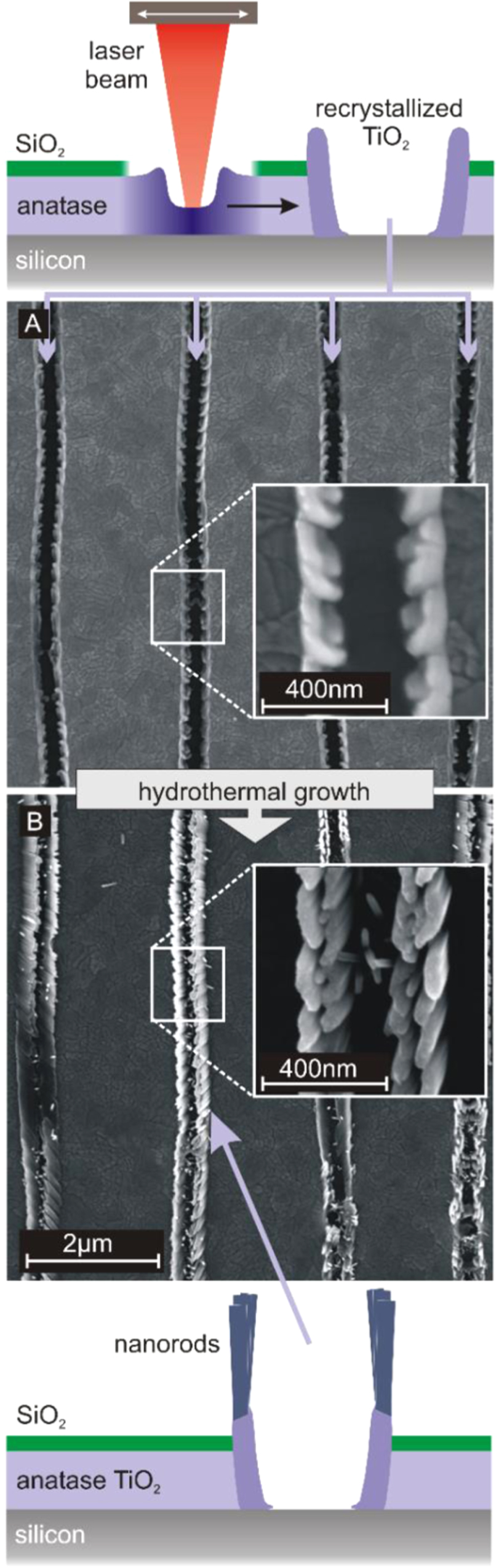 Position-controlled laser-induced creation of rutile TiO2 ...