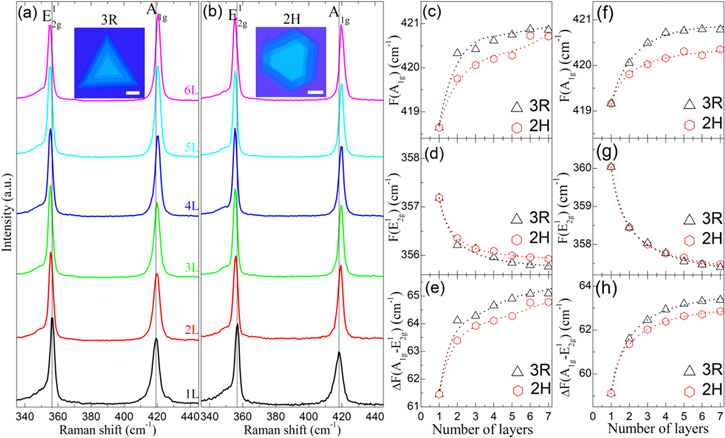 Effect of layer and stacking sequence in simultaneously grown 2H and 3R ...