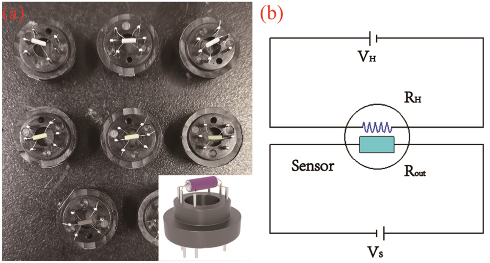 Carbon nanotubes-CuO/SnO2 based gas sensor for detecting H2S in low concentration - IOPscience