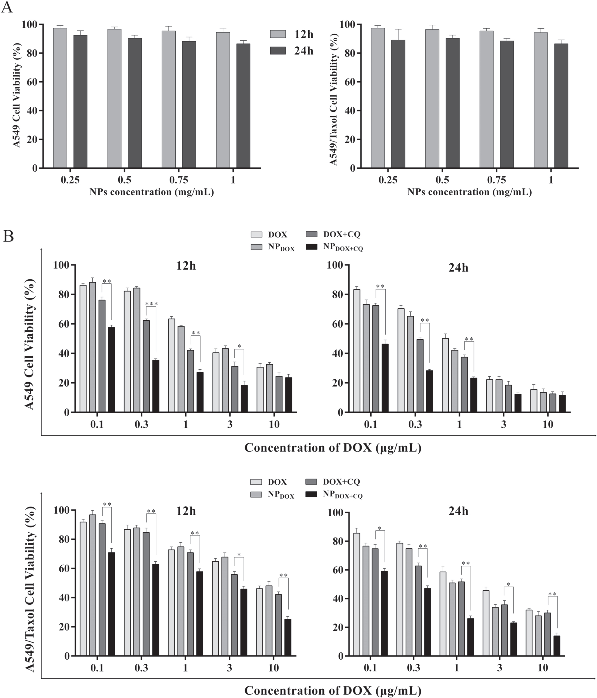 Co-delivery nanoparticles of doxorubicin and chloroquine for improving ...