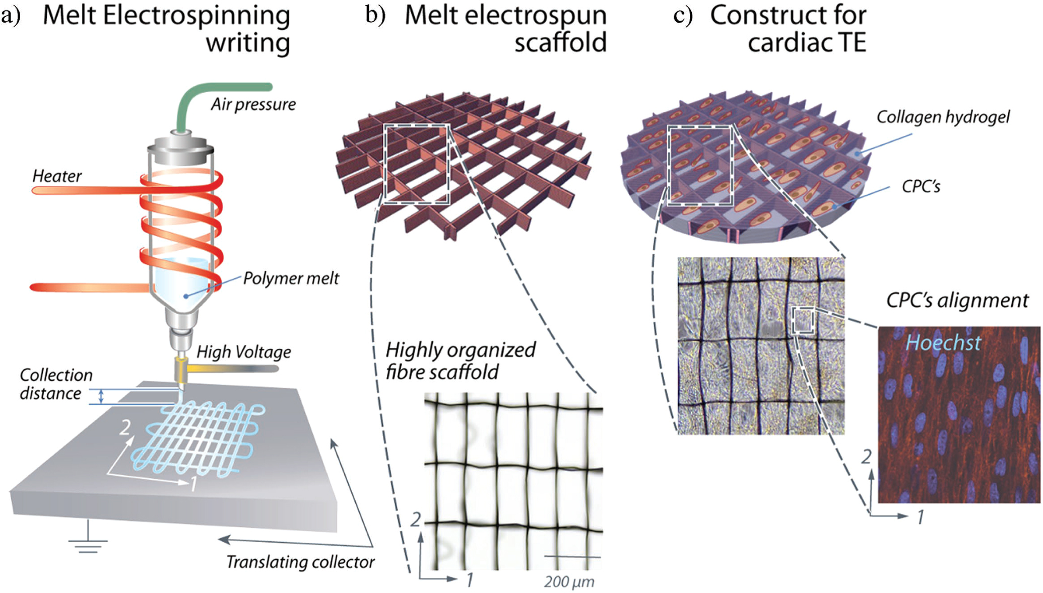 Combination of electrospinning with other techniques for the ...