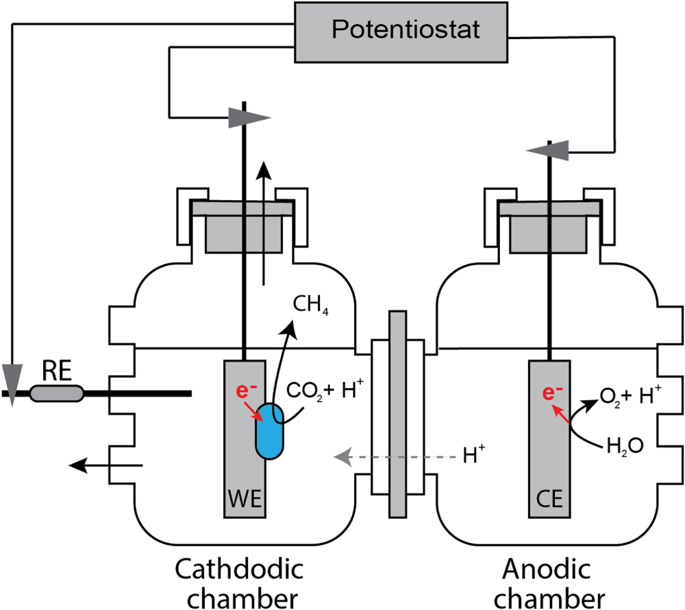 Cultivating electroactive microbes—from field to bench - IOPscience