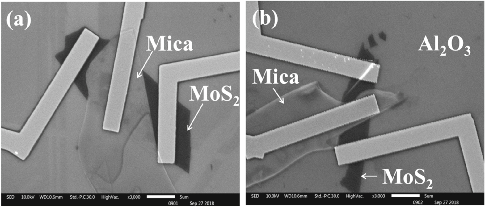 Long-term stability of multilayer MoS2 transistors with mica gate ...