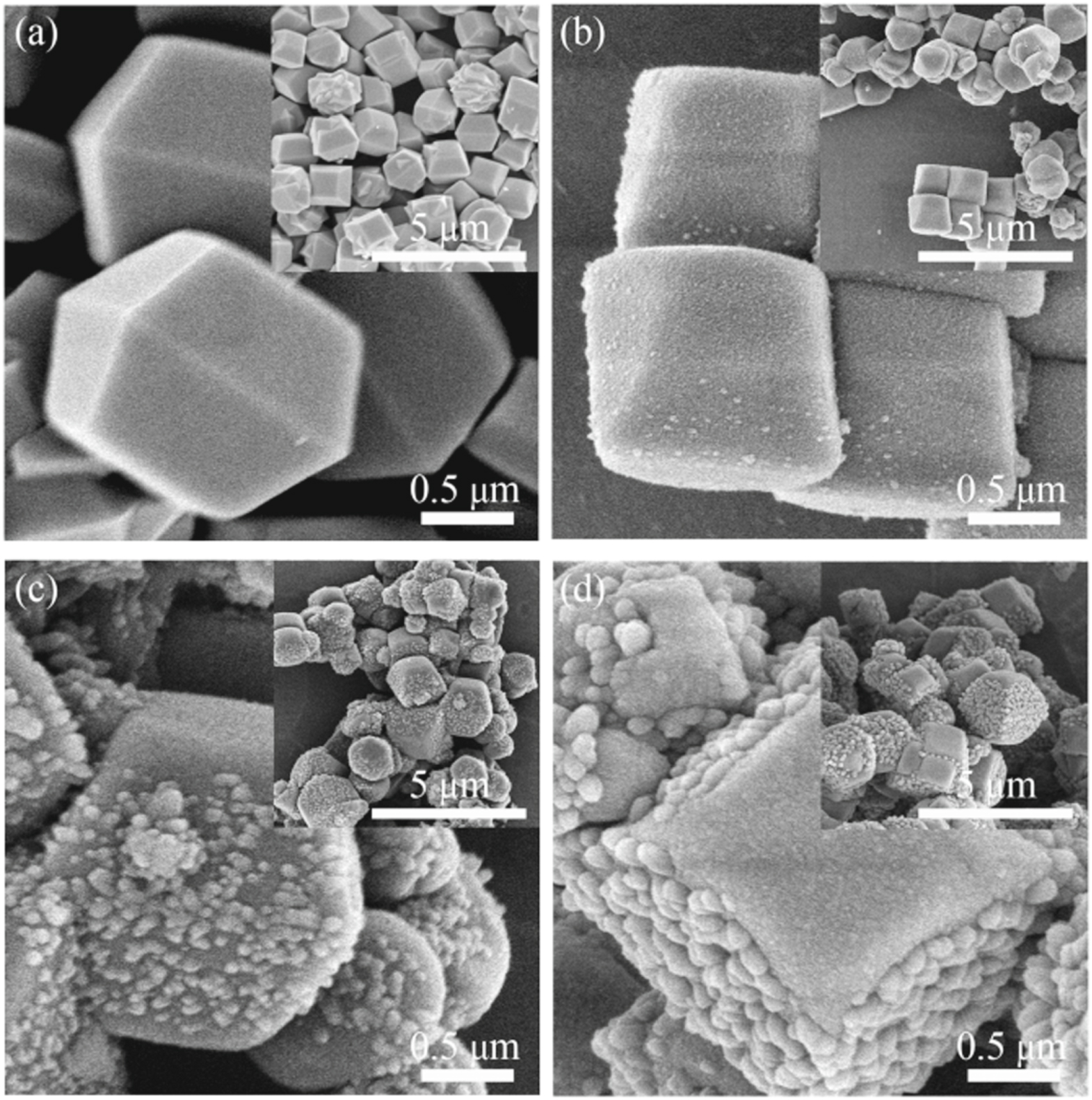 Facet-dependent decoration of TiO2 mesocrystals on TiO2 microcrystals ...
