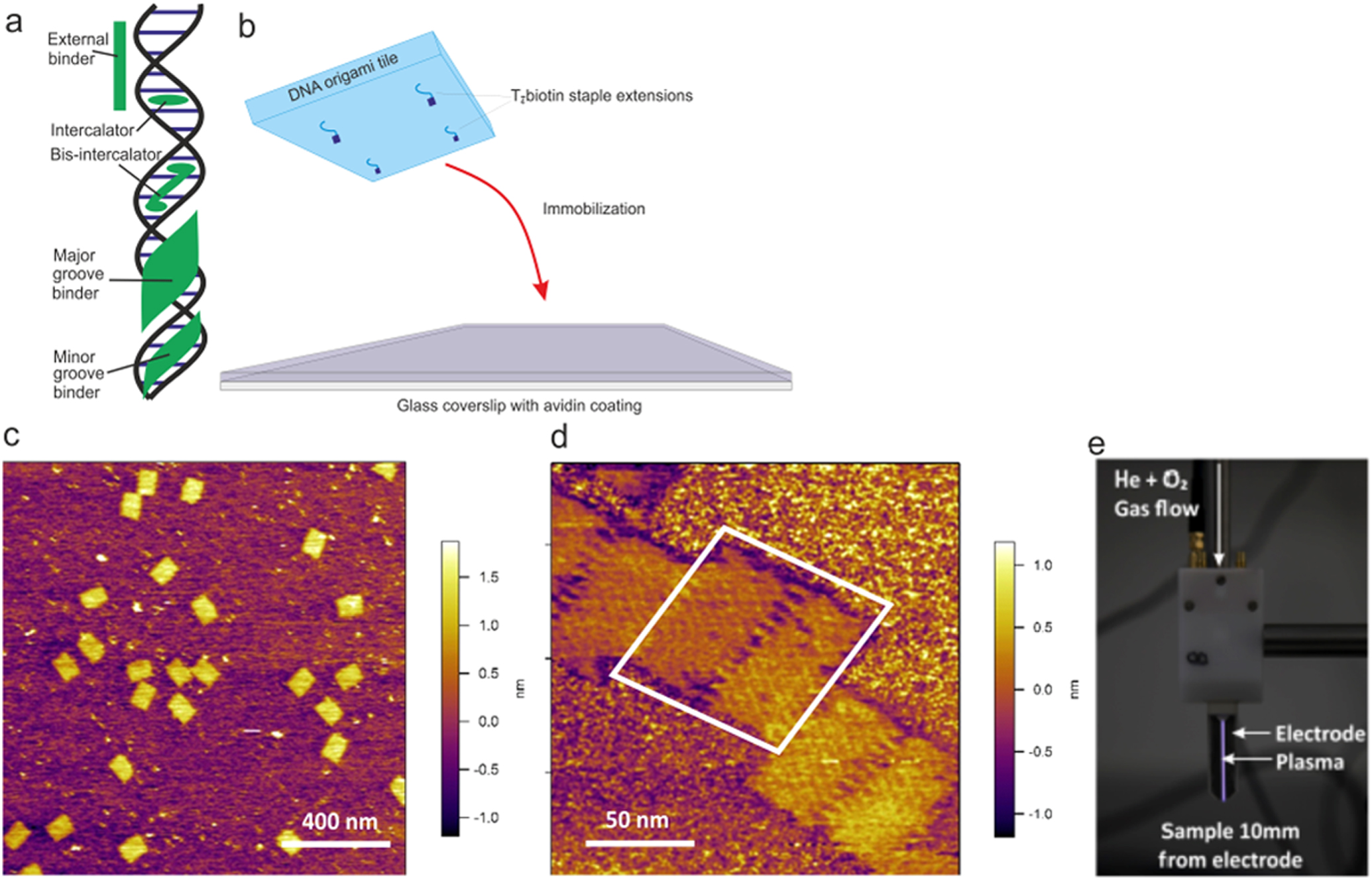 Biophysical characterisation of DNA origami nanostructures reveals ...