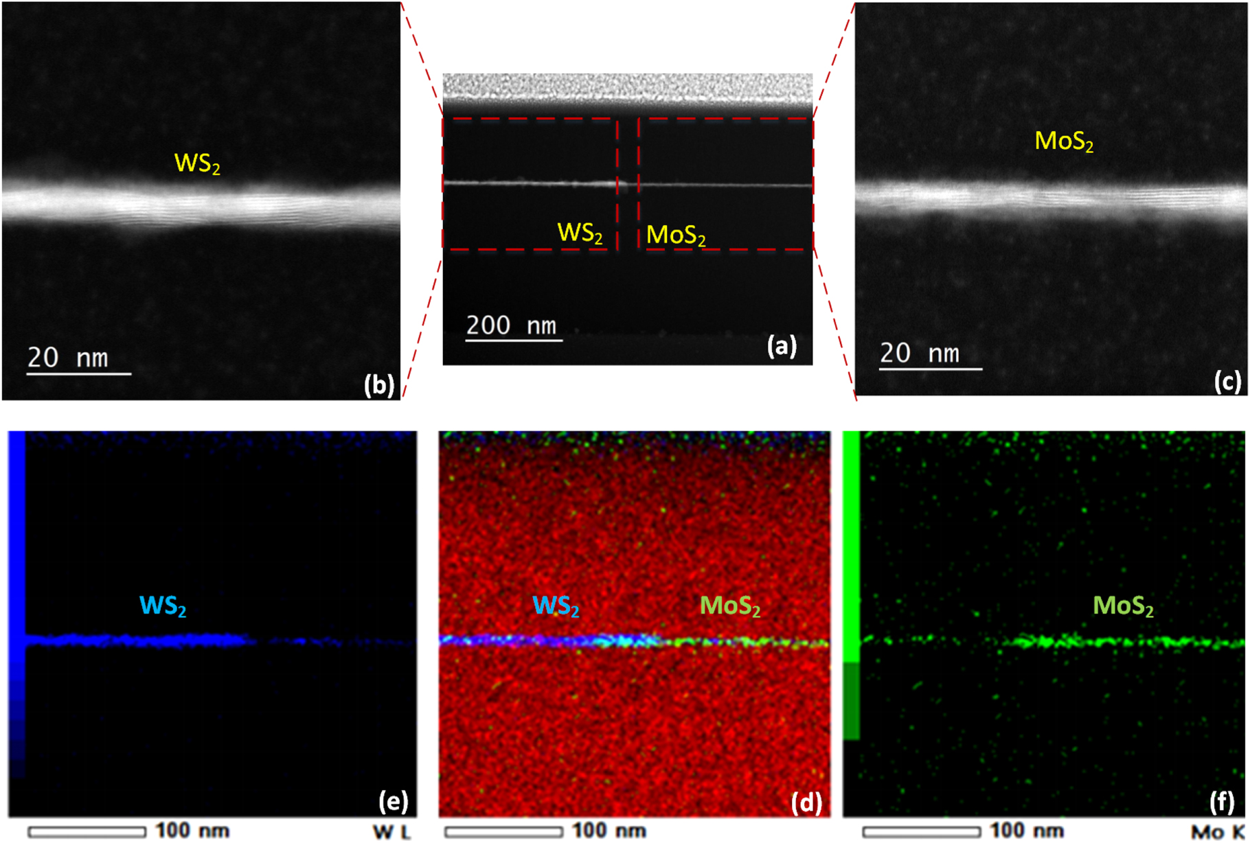 Large area, patterned growth of 2D MoS2 and lateral MoS2–WS2 ...