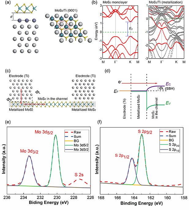 Low consumption two-terminal artificial synapse based on transfer-free ...