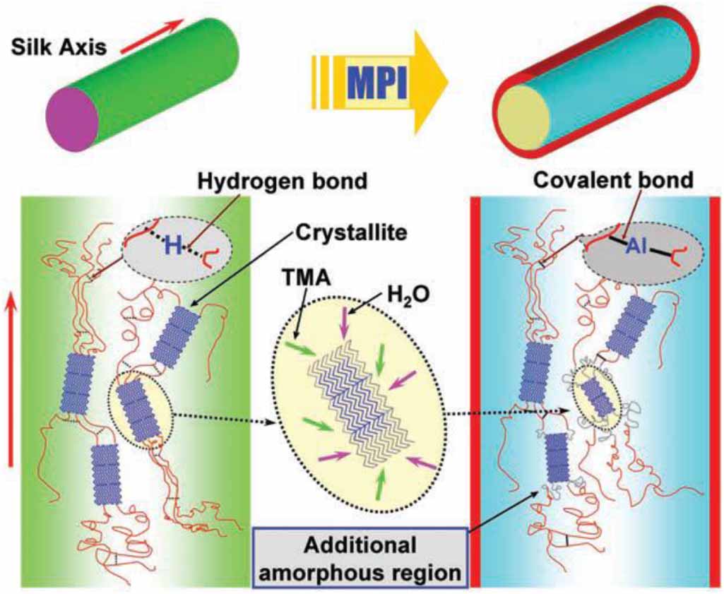 Vapor phase processing: a novel approach for fabricating functional ...