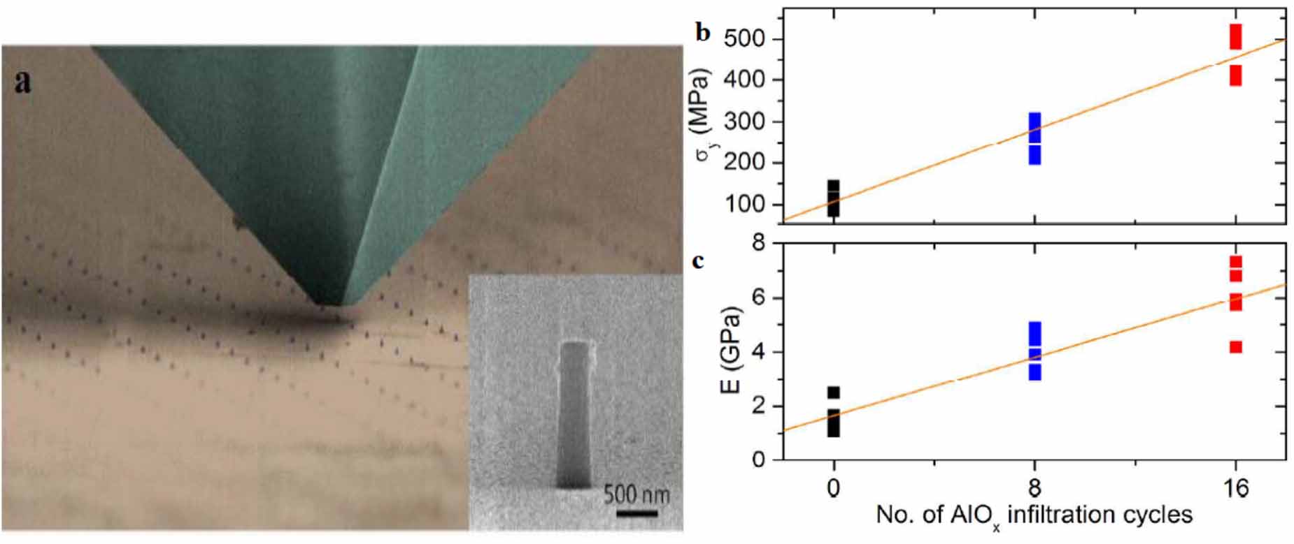 Vapor phase processing: a novel approach for fabricating functional ...