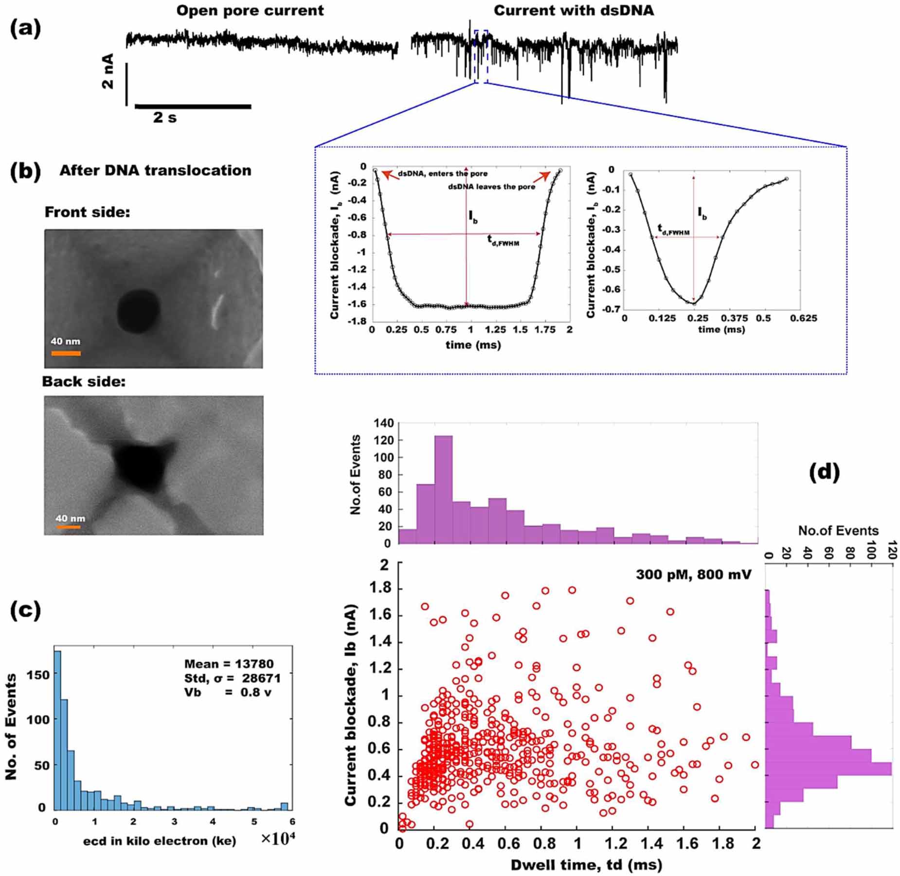 Wafer-level fabrication of individual solid-state nanopores for sensing ...