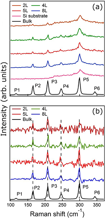 Mechanical exfoliation and layer number identification of single ...