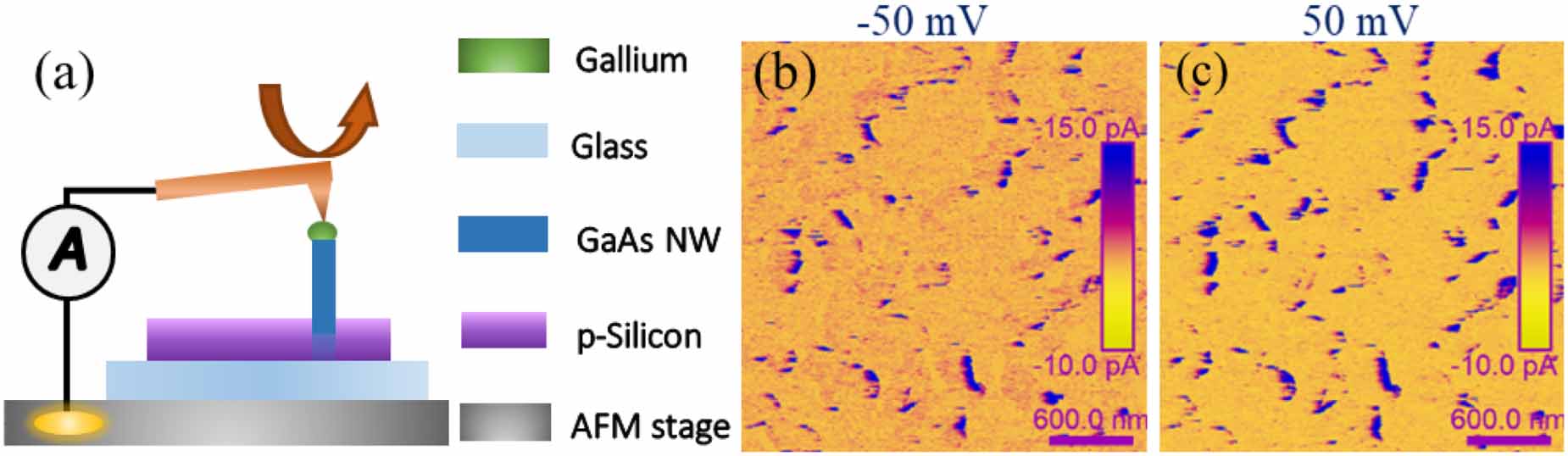 Time-resolved open-circuit conductive atomic force microscopy for ...