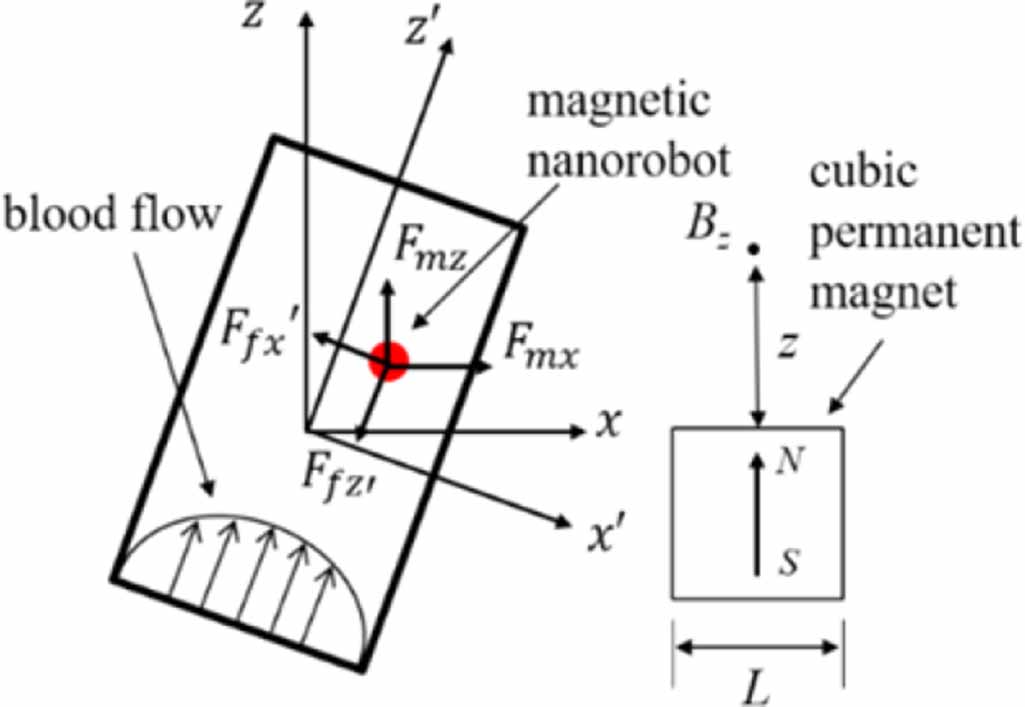 Personalized dynamic transport of magnetic nanorobots inside the brain ...