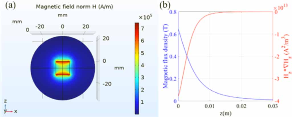 Personalized dynamic transport of magnetic nanorobots inside the brain ...
