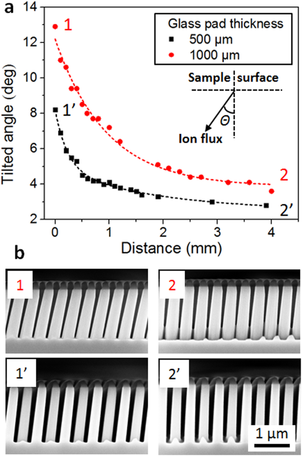 Oblique angled plasma etching for 3D silicon structures with wiggling ...