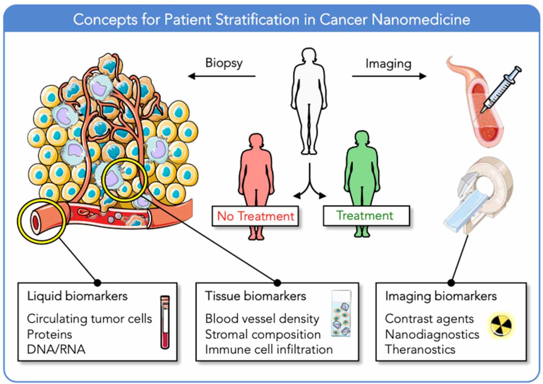 Roadmap on nanomedicine - IOPscience