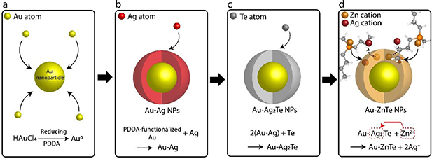 Cation exchange mediated synthesis of bright Au@ZnTe core–shell ...