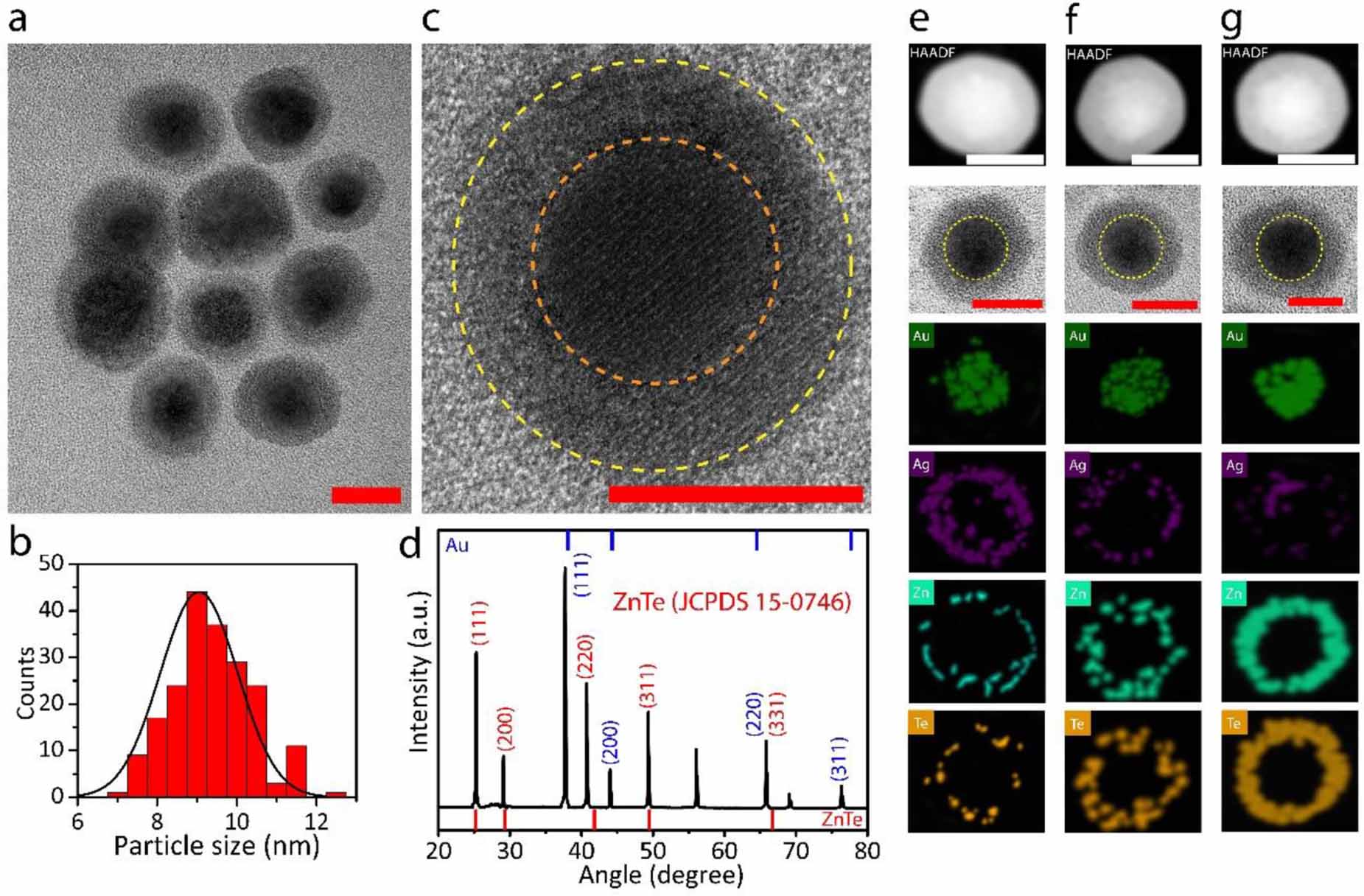 Cation exchange mediated synthesis of bright Au@ZnTe core–shell ...