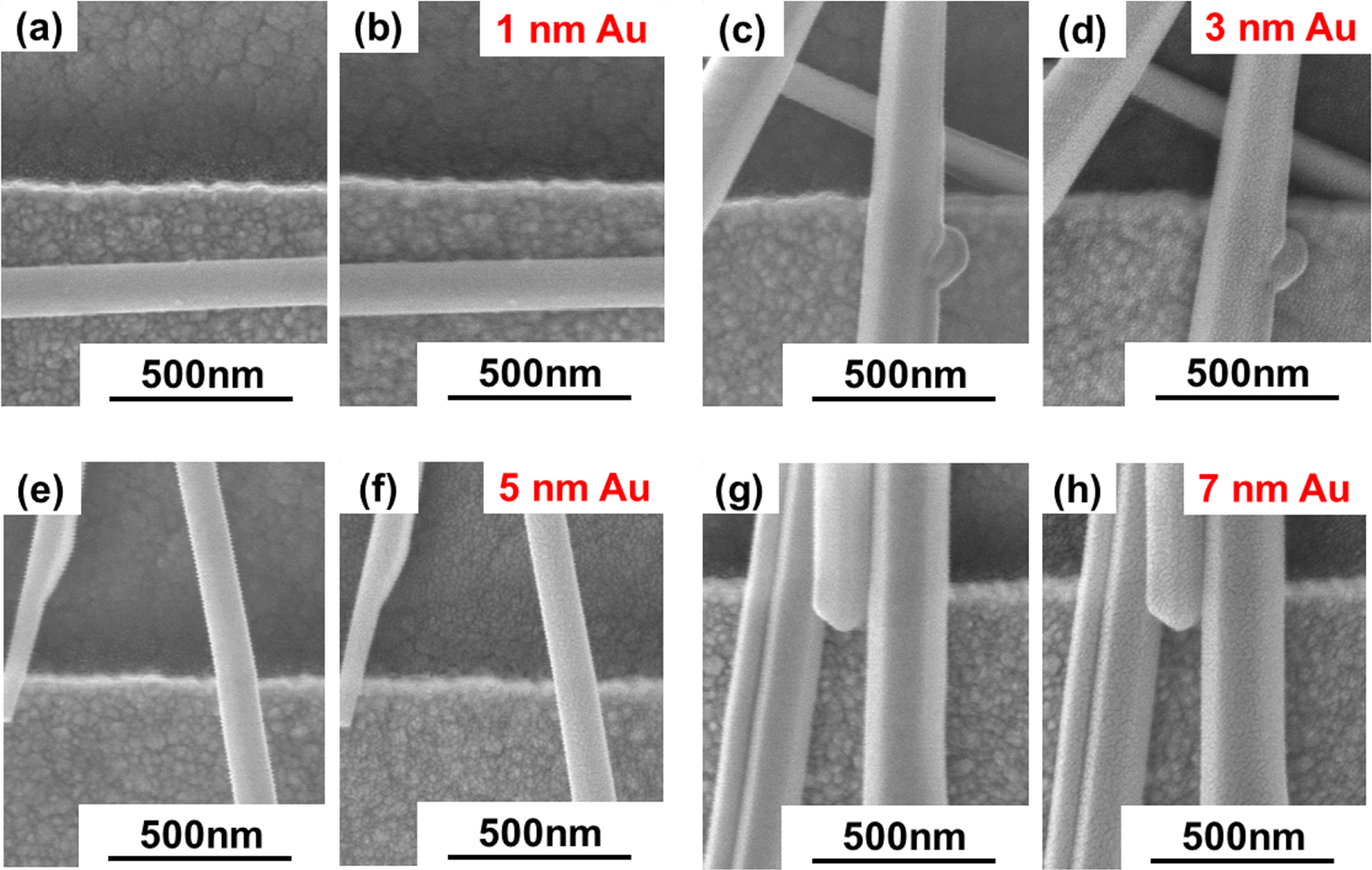 H2S sensing for breath analysis with Au functionalized ZnO nanowires ...