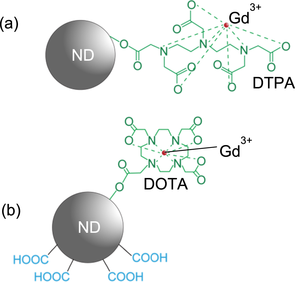 Fabrication of Gd-DOTA-functionalized carboxylated nanodiamonds for ...