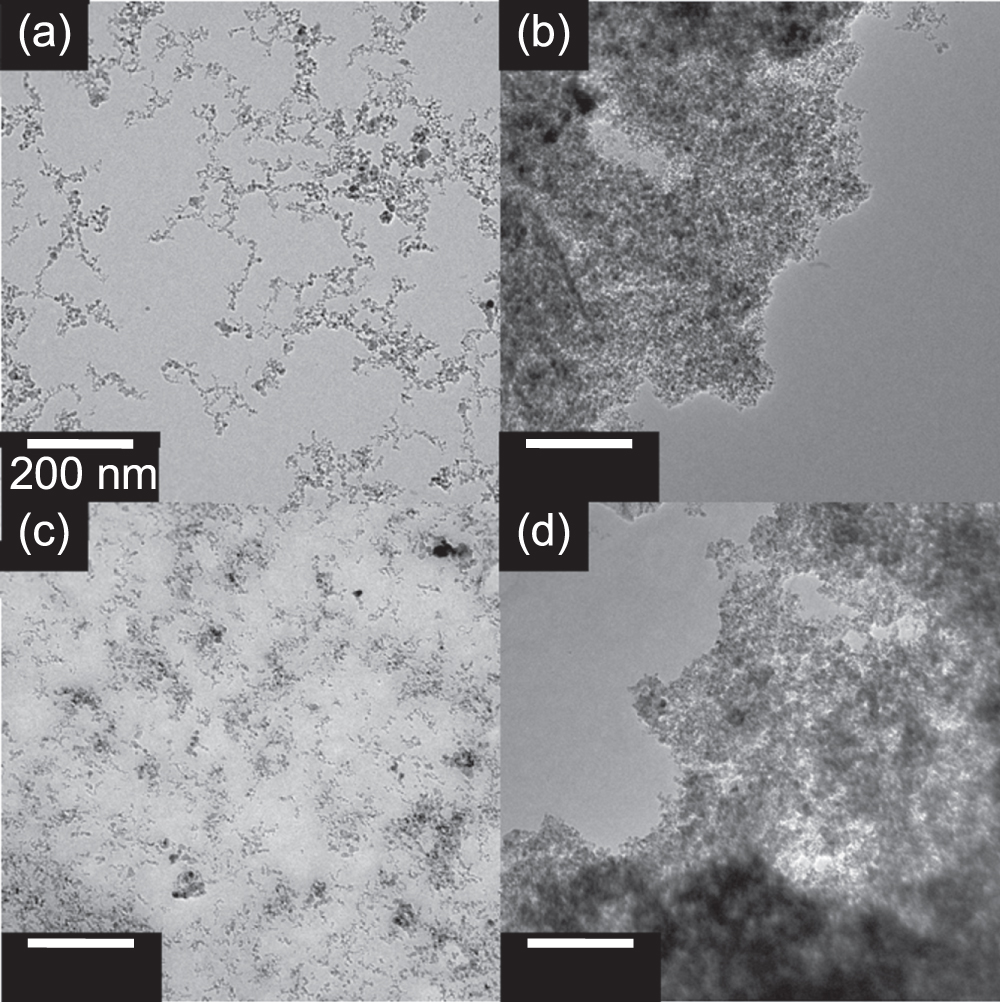 Fabrication of Gd-DOTA-functionalized carboxylated nanodiamonds for ...
