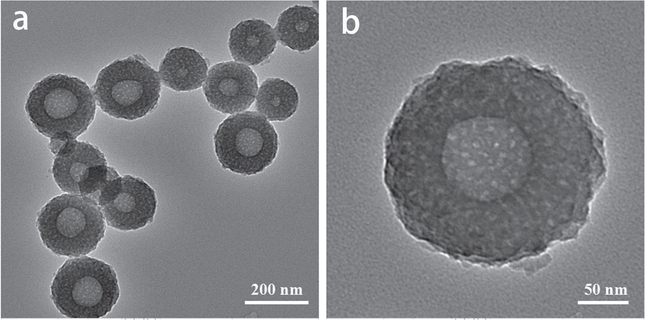 Hollow mesoporous polydopamine nanospheres: synthesis, biocompatibility ...