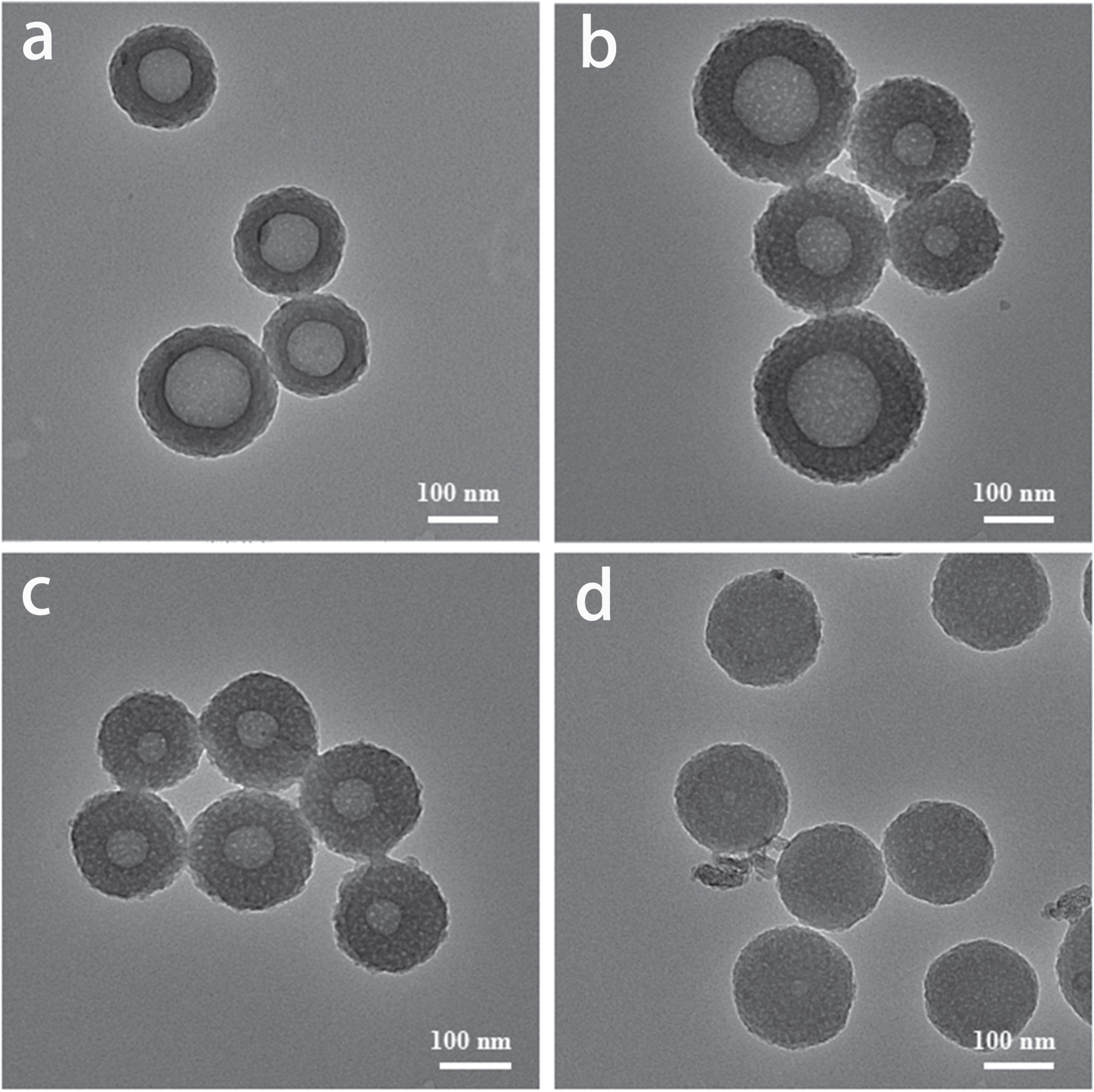 Hollow mesoporous polydopamine nanospheres: synthesis, biocompatibility ...