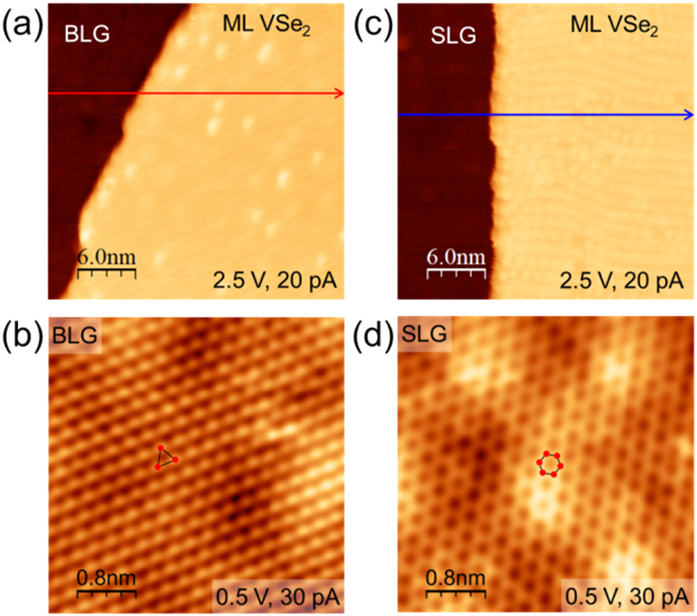 Multiple charge density wave phases of monolayer VSe2 manifested by ...