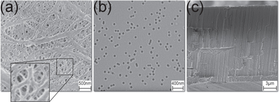 Etched ion-track membranes as tailored separators in Li–S batteries ...