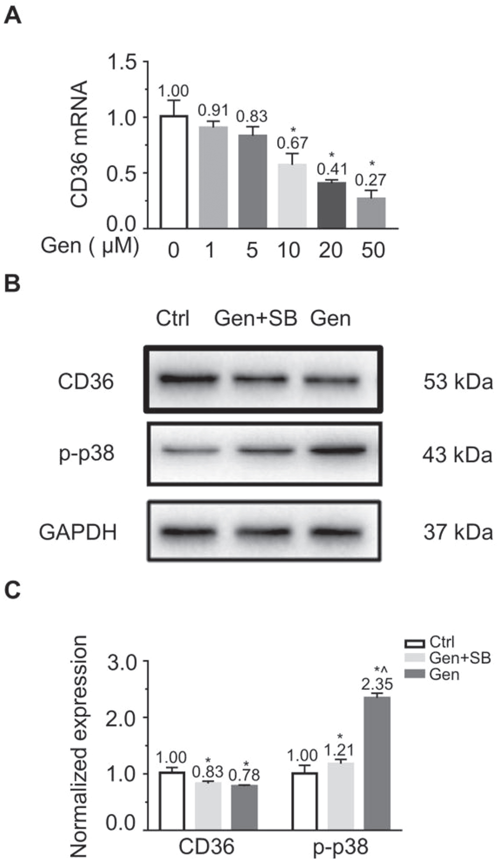 Combination inhibition of triple-negative breast cancer cell growth ...