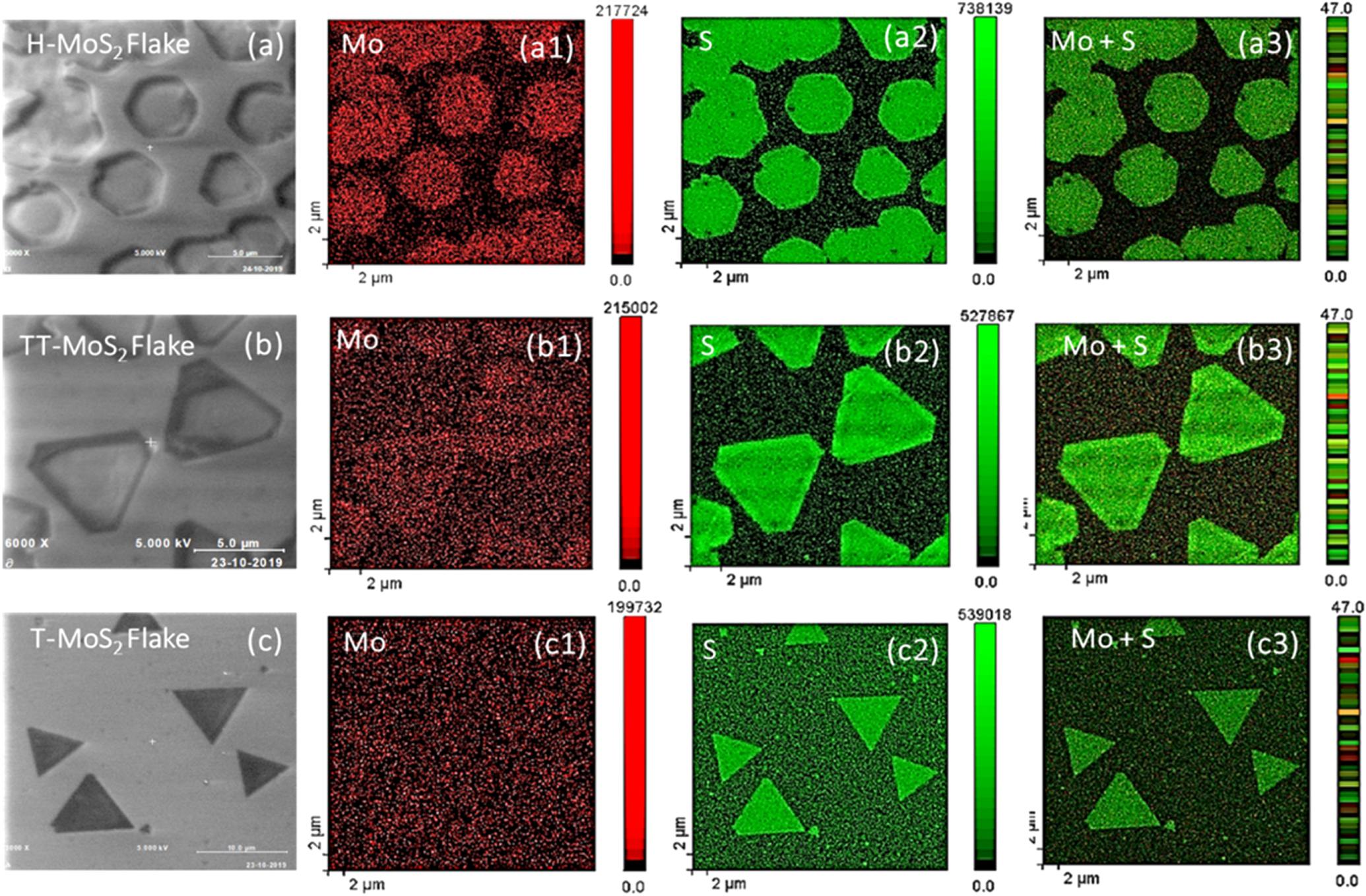 Influence of chemical potential on shape evolution of 2D-MoS2 flakes ...