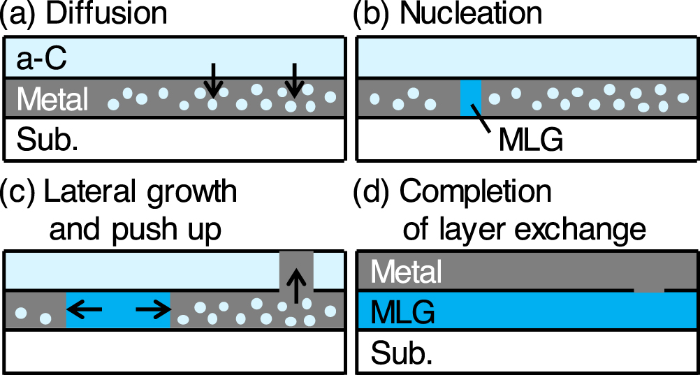 Layer exchange synthesis of multilayer graphene - IOPscience