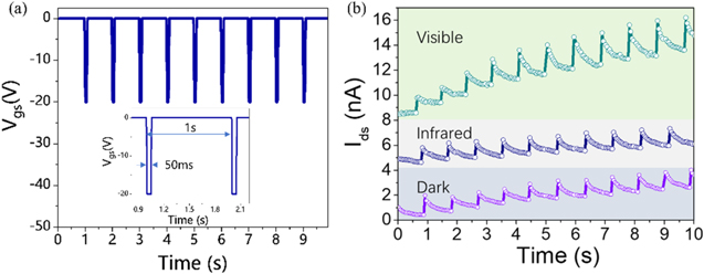 Visible to near-infrared photodetector based on SnSe2/WSe2 ...