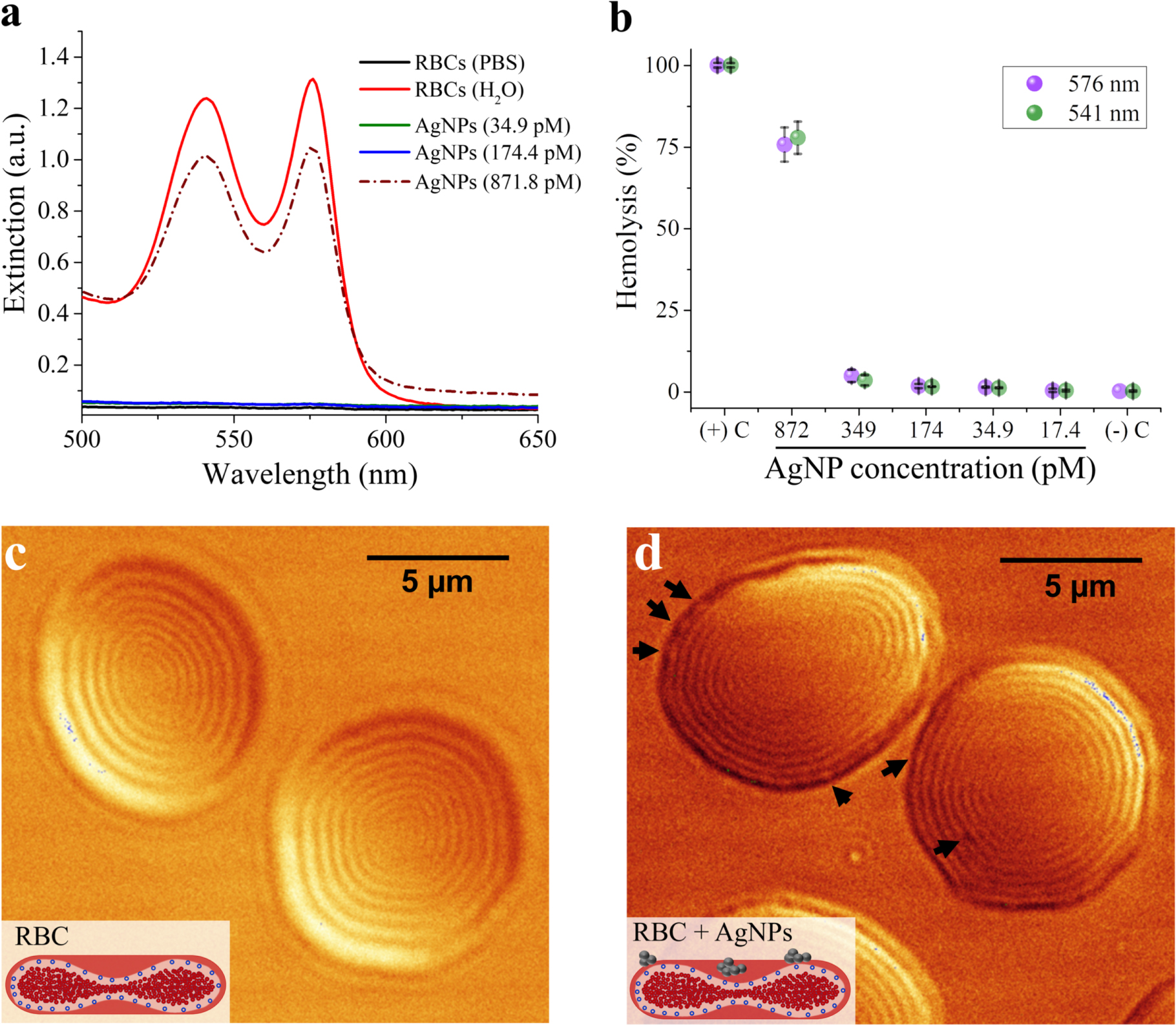 Raman spectroscopy and silver nanoparticles for efficient detection of ...