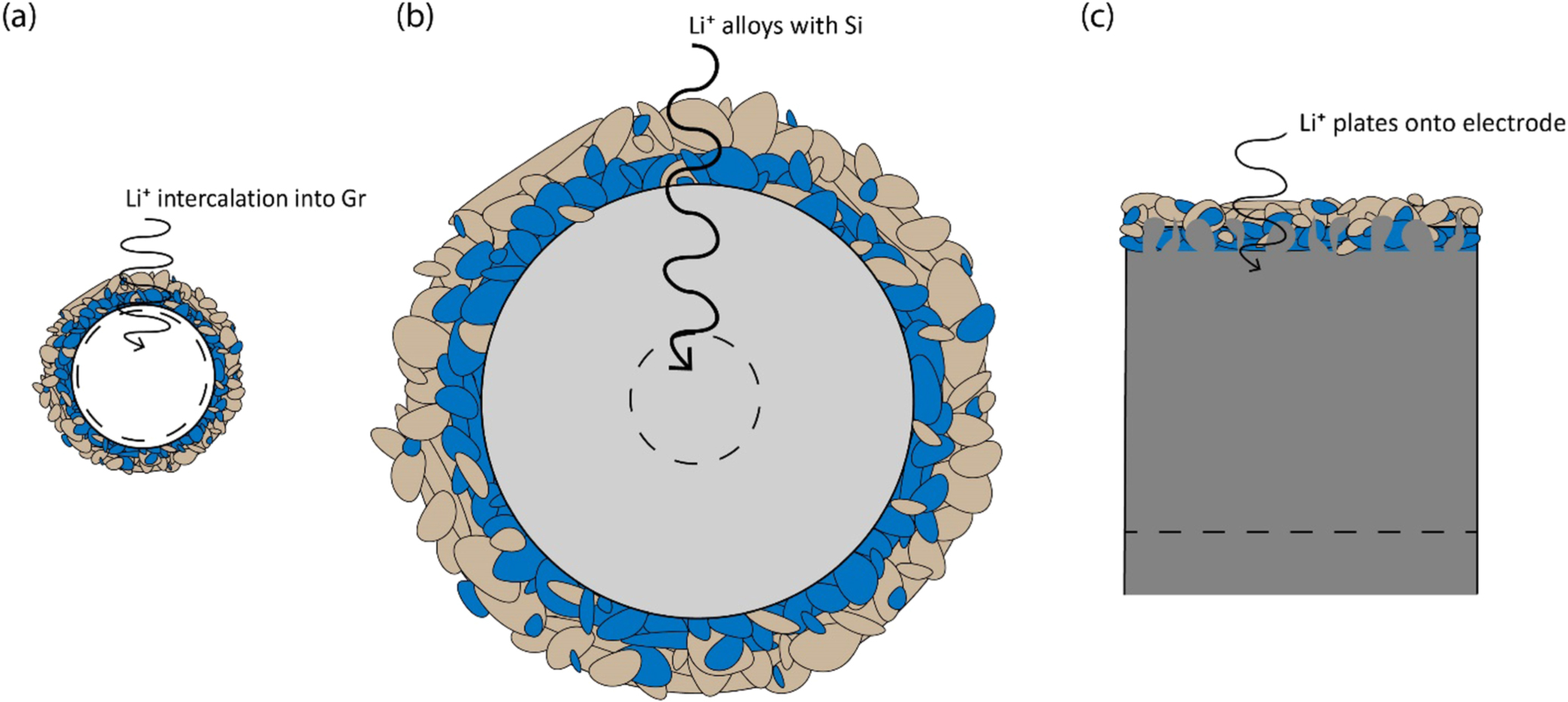 Mechanical studies of the solid electrolyte interphase on anodes in ...