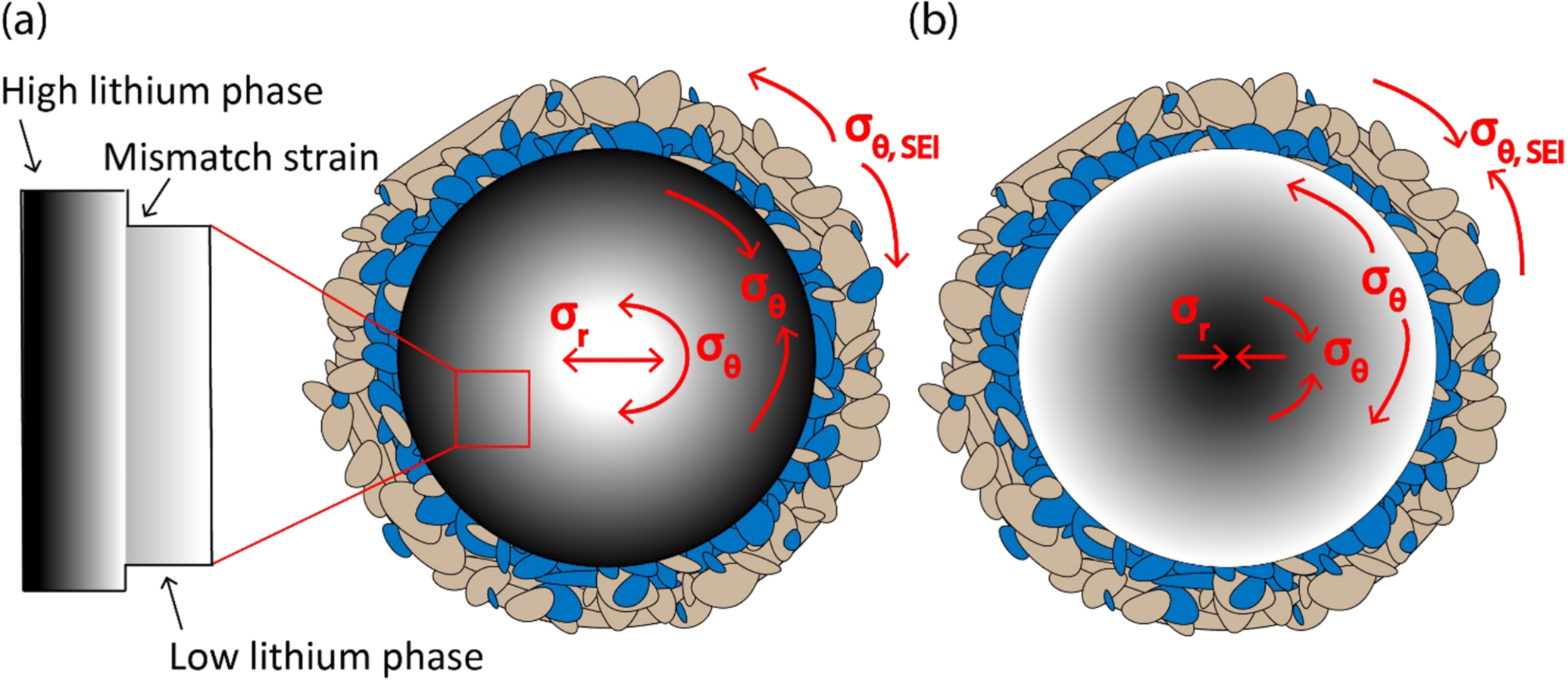Mechanical studies of the solid electrolyte interphase on anodes in ...