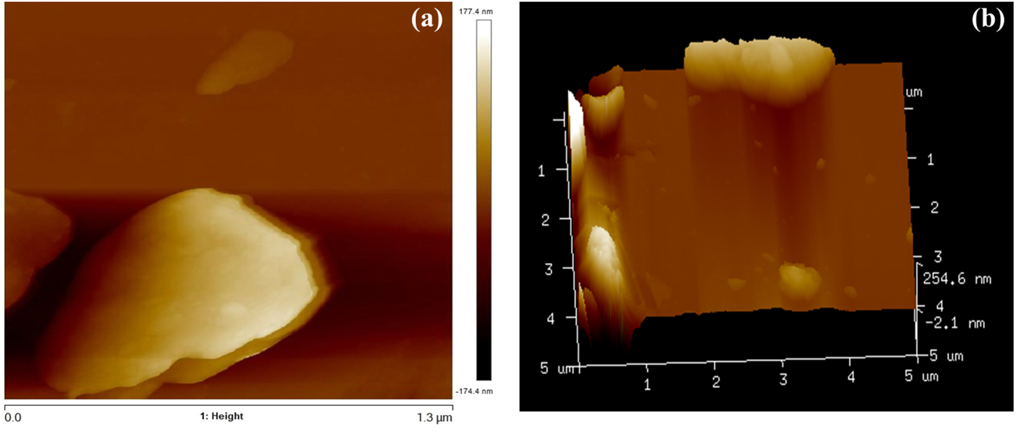WSe2 crystals on paper: flexible, large area and broadband ...