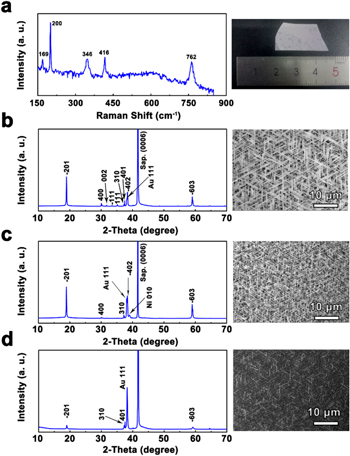 Catalyst-assisted heteroepitaxial strategy for highly ordered β-Ga2O3 nanoarrays and their ...
