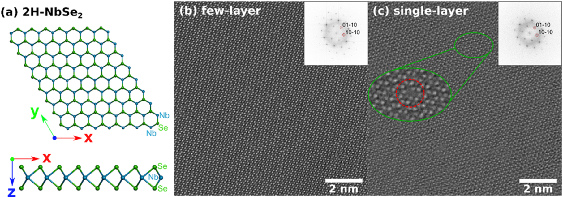 Polymer-assisted TEM specimen preparation method for oxidation ...