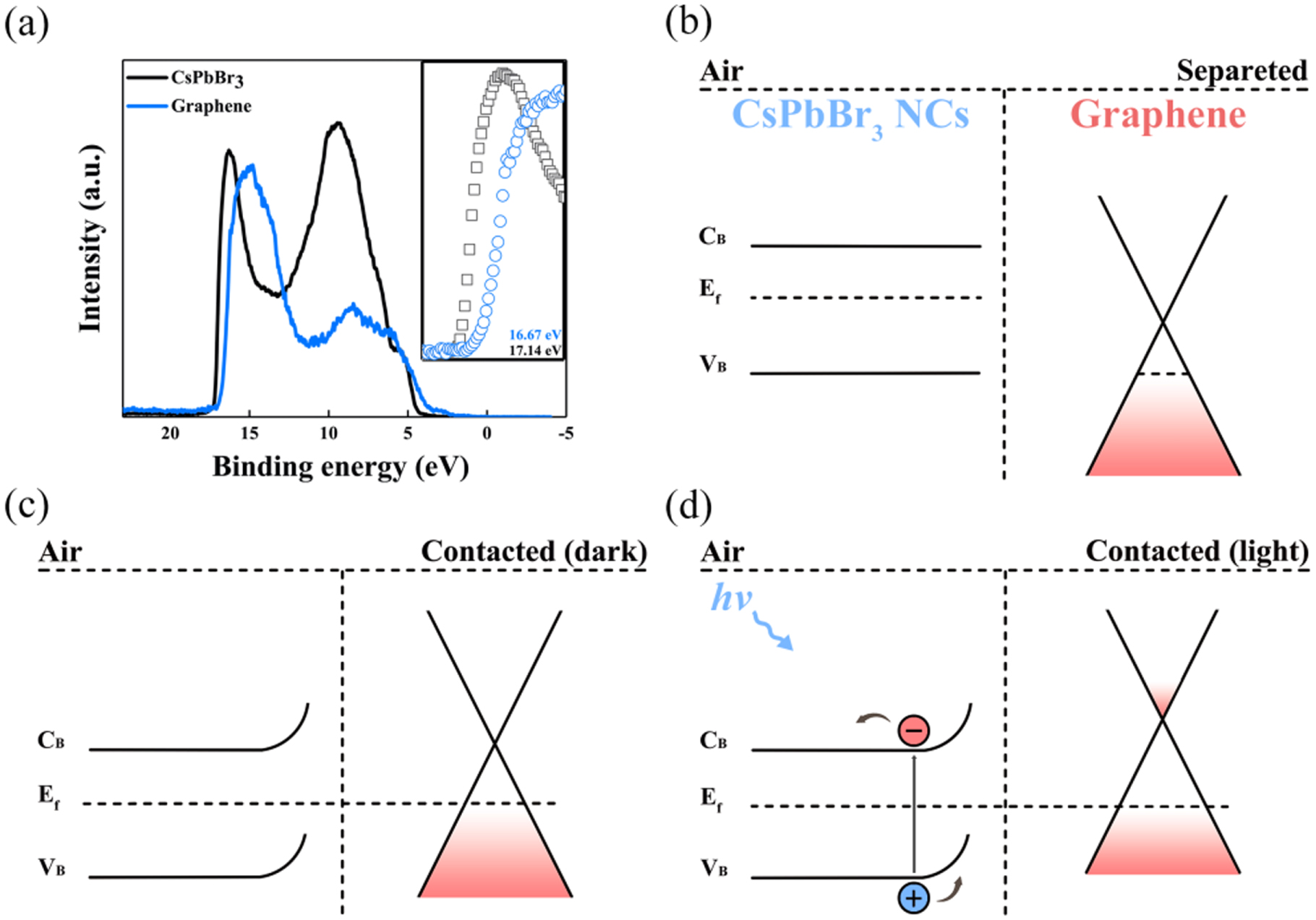 Positive and negative photoconductivity characteristics in CsPbBr3 ...