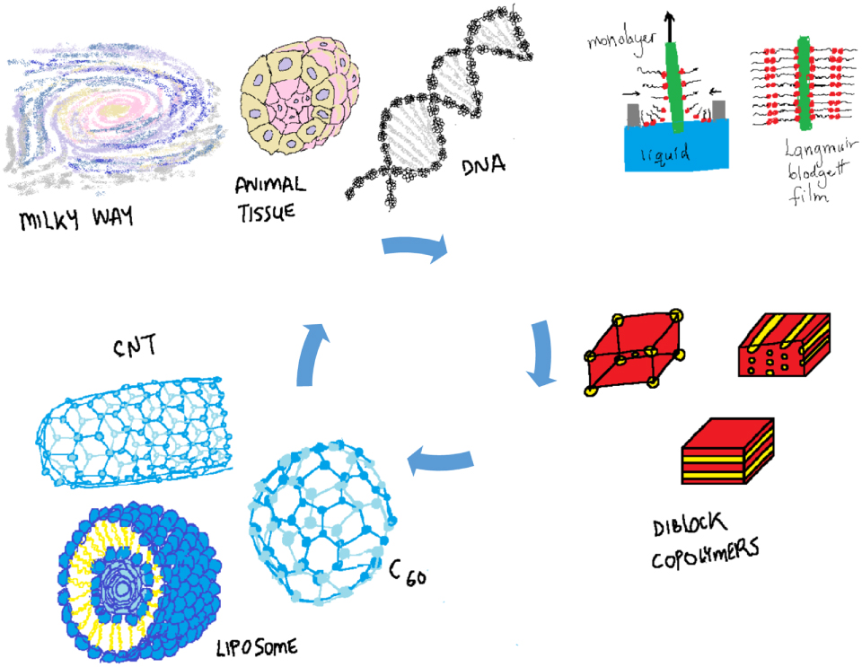Nanoscale self-assembly: concepts, applications and challenges - IOPscience