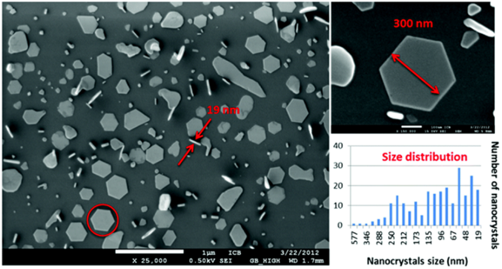 Nanoscale self-assembly: concepts, applications and challenges - IOPscience