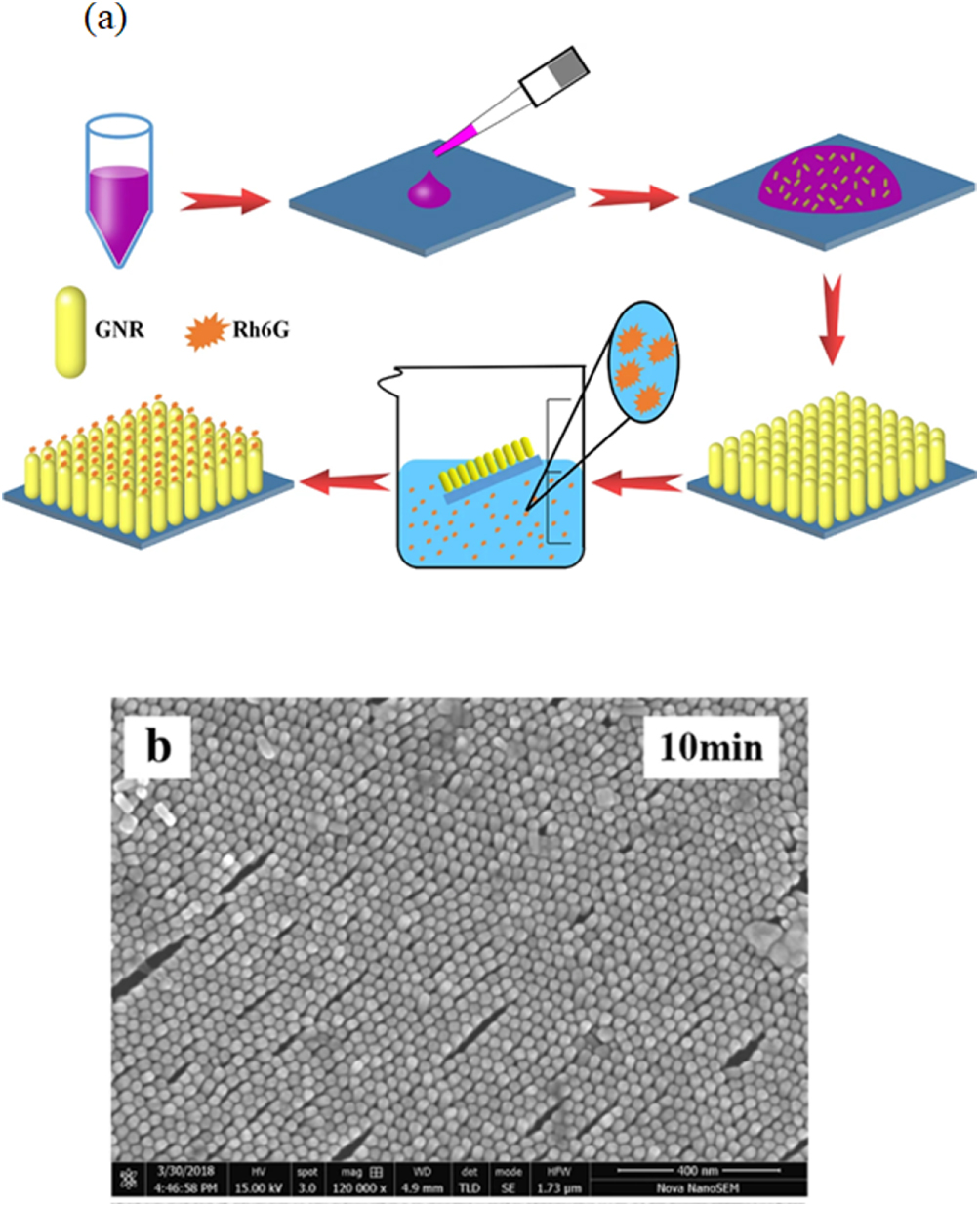 Nanoscale self-assembly: concepts, applications and challenges - IOPscience