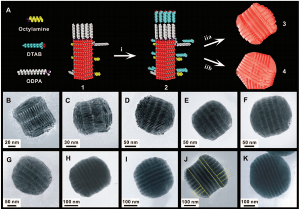 Nanoscale self-assembly: concepts, applications and challenges - IOPscience