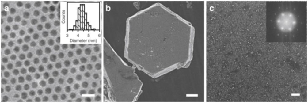 Nanoscale self-assembly: concepts, applications and challenges - IOPscience