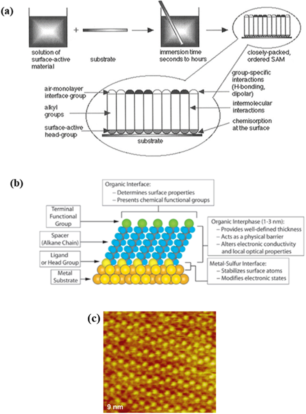 Nanoscale self-assembly: concepts, applications and challenges - IOPscience