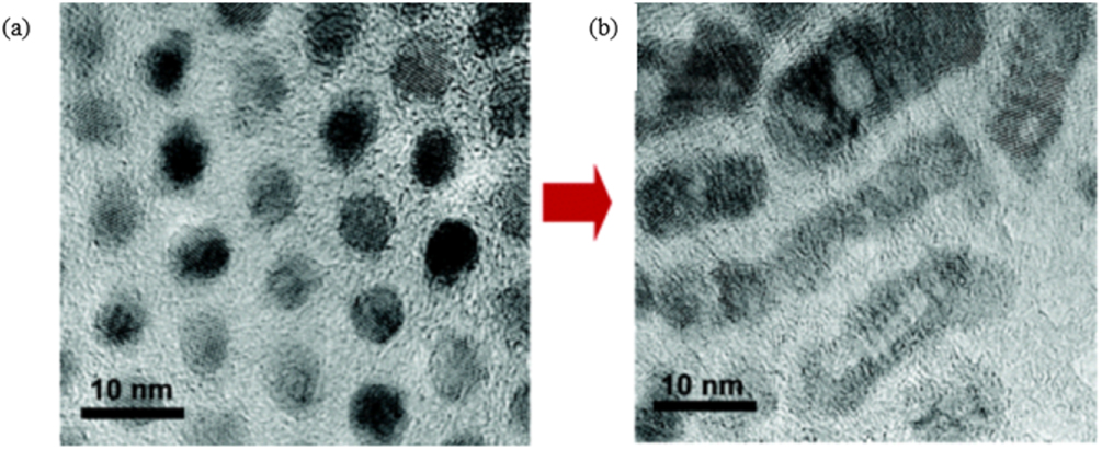 Nanoscale self-assembly: concepts, applications and challenges - IOPscience