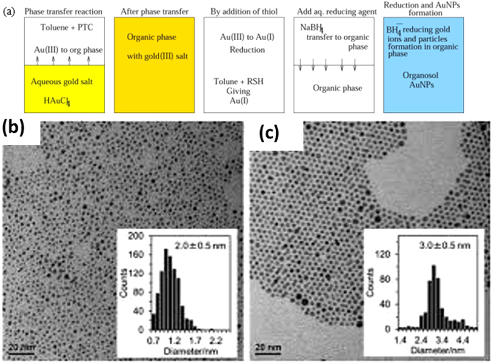 Nanoscale self-assembly: concepts, applications and challenges - IOPscience