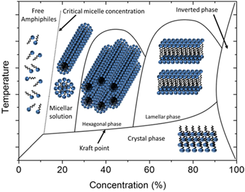 Nanoscale self-assembly: concepts, applications and challenges - IOPscience